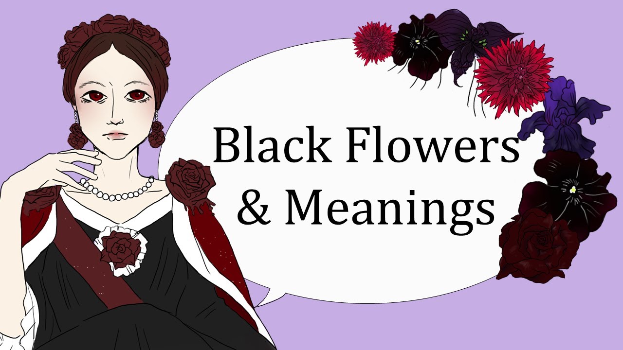 5 Black Flowers for Your Goth Garden - YouTube