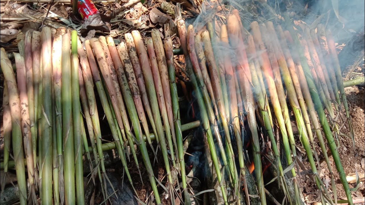 Vanhlor voos yaj mu rho ntsuag - YouTube