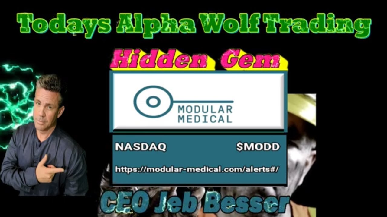 Alpha Wolf Trading Follow Up Interview with Jeb Besser Modular Medical Devices $MODD - YouTube