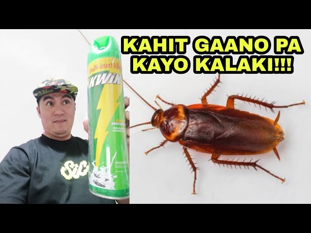 Antonio Ipis Memes In This Video Antonio Meme | TikTok