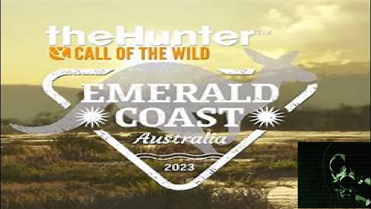 Diamond Quail Hunt on the Emerald Coast - YouTube