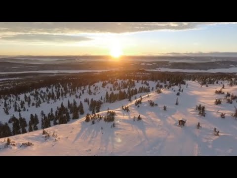 Subhanallah ❤️ Alhamdulillah | Beautiful 🥀 WhatsApp status | Fareed Islamic Official