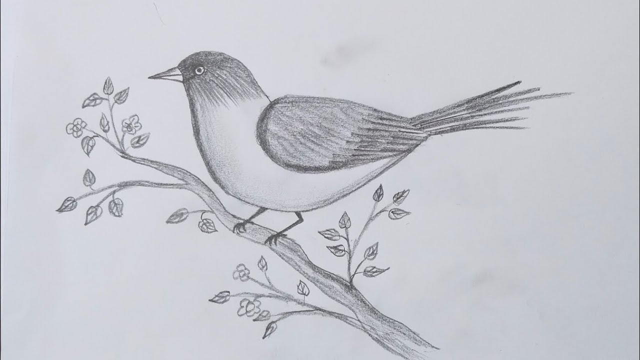 Very Beautiful ️ Birds Scenery Drawing step by step | Birds Scenery ...