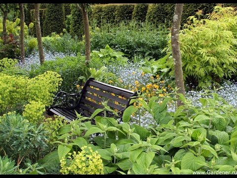 Сад - YouTube