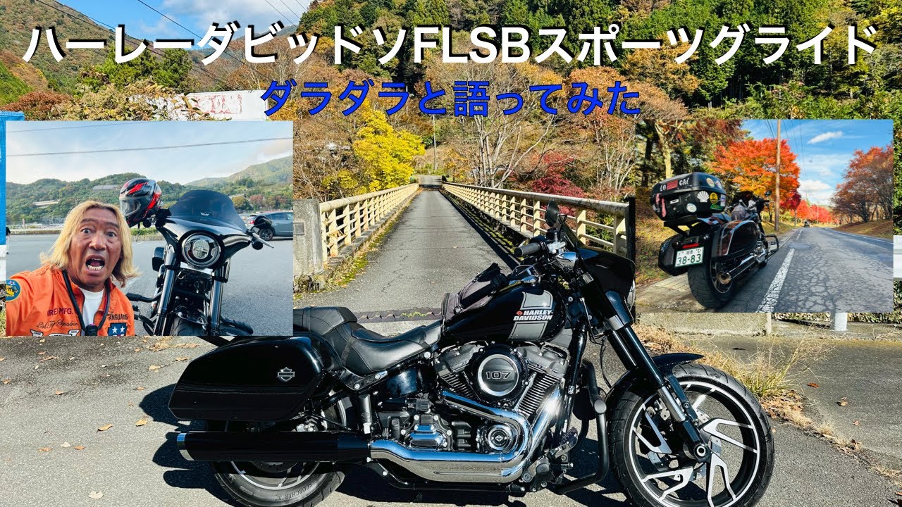 ハーレーダビッドソFLSBスポーツグライドについて素人がダラダラと語ってみた。 - YouTube
