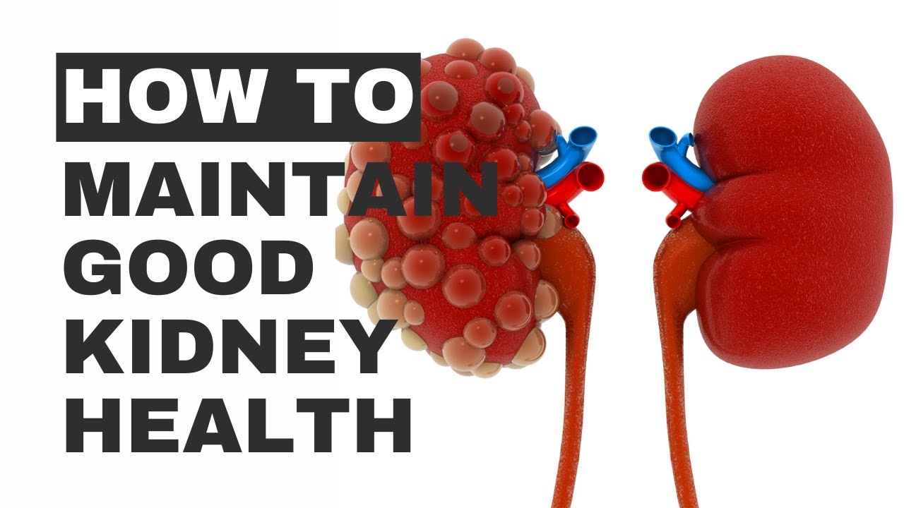 How To Maintain Good Kidney Health - YouTube