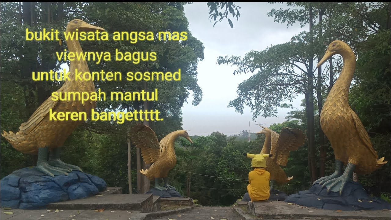 jalan-jalan ke angsa mas#part81. - YouTube