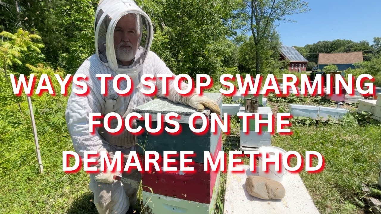 Stopping swarming and the Demaree method - YouTube
