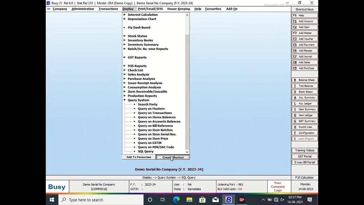 #Busywin,Batch Number,Serial Number,Expiery Date printing SQL Codes - YouTube