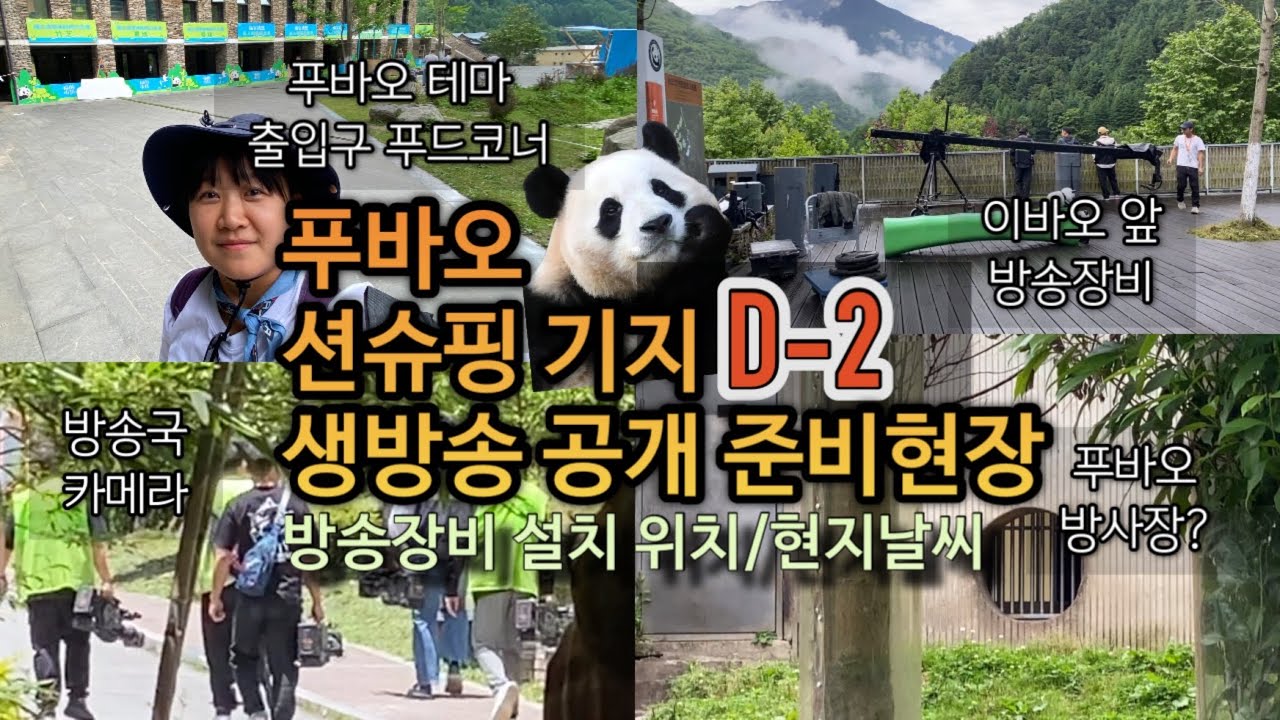 푸바오 일반공개 D 2 푸바오 선수핑기지 푸바오 테마 푸드코트 대기줄 펜스 설치 방송장비 및 위치 방사장 환경 및 날씨 등 현장 상황 공유 Youtube