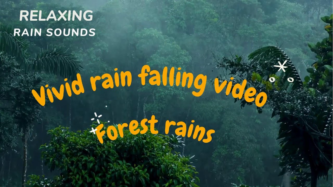Forest Rain-2 Hours Vivid rain falling video! - YouTube