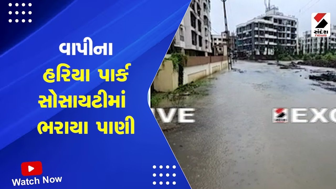 Vapi News | વાપીના હરિયા પાર્ક સોસાયટીમાં ભરાયા પાણી | Heavy Rain | Rain Forecast | Monsoon ...