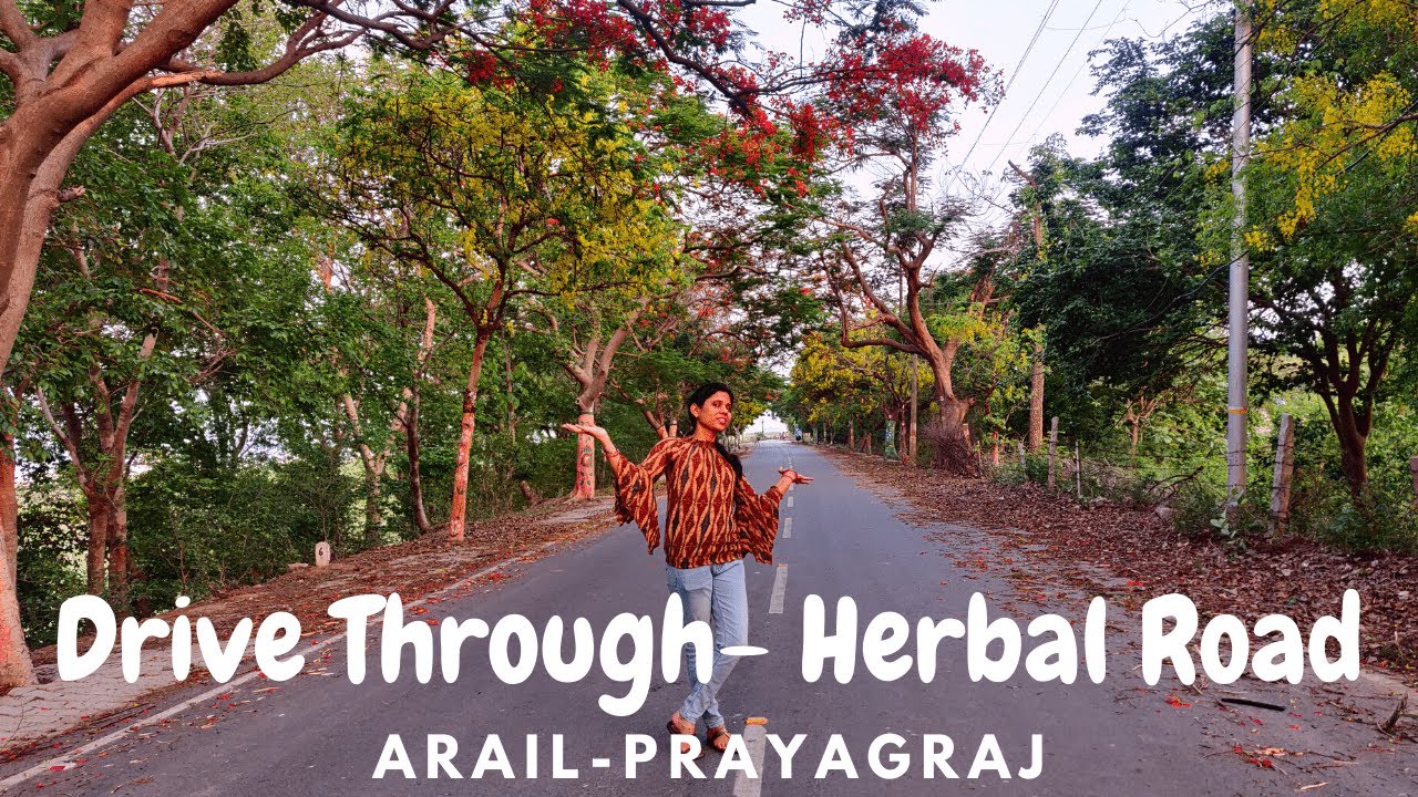 herbal road in prayagraj | arail ghat sangam road drive through - YouTube
