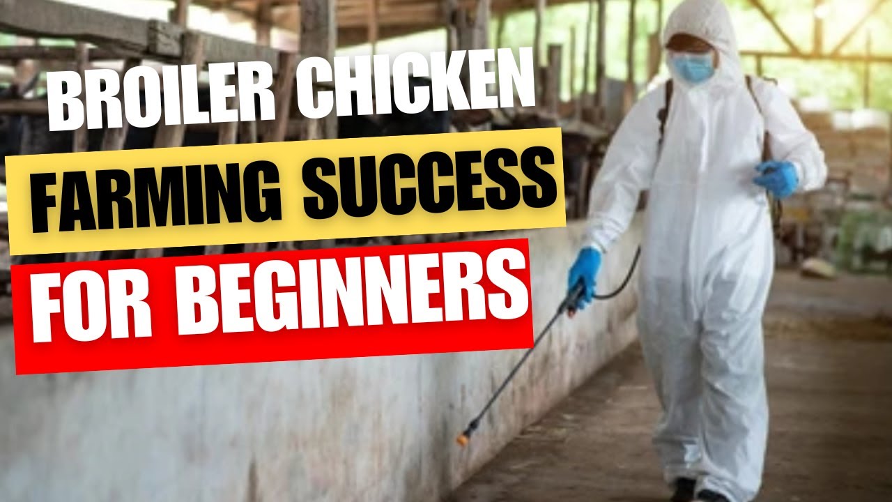 How To Clean And Disinfect Poultry House Like A Pro! - YouTube