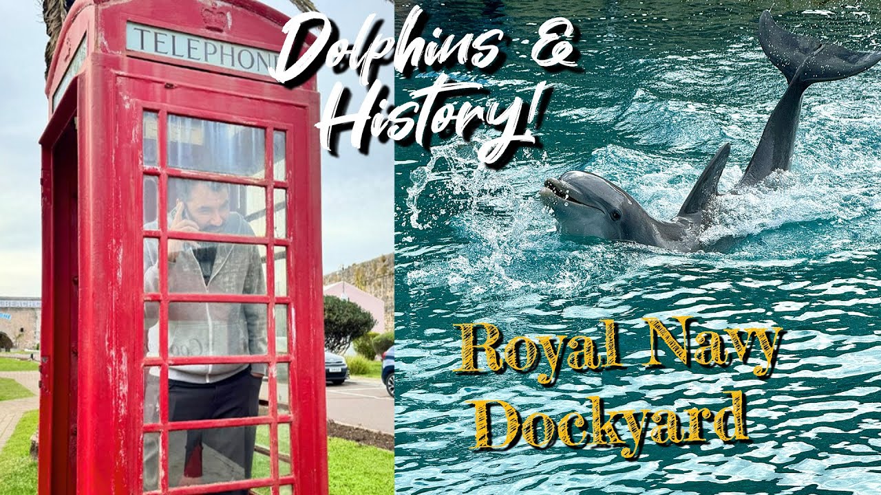 Dolphins & History at the Royal Navy Dockyard - Bermuda - YouTube
