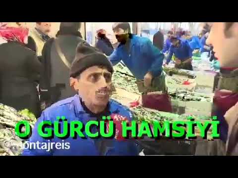 Piç Gürcü Hamsisi