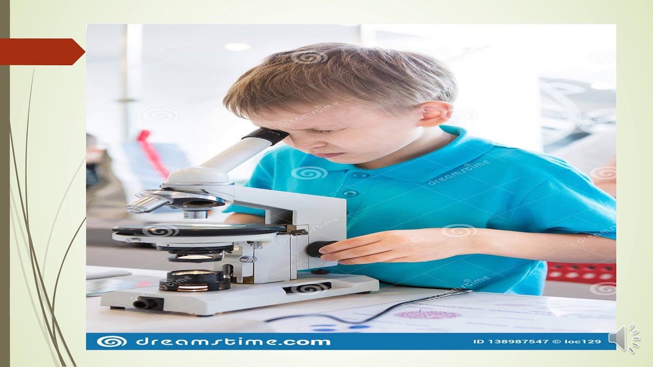 Class 9 Chapter 2 (SOLVING A BIOLOGICAL PROBLEM) Steps to solve a ...