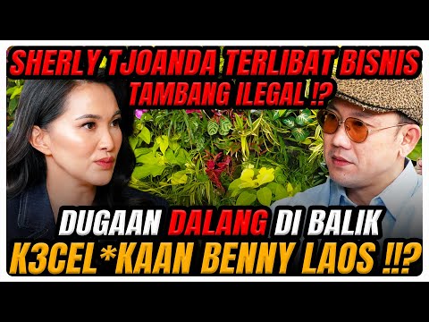 BERANI BONGKAR! SHERLY TJOANDA UNGKAP DALANG TAMBANG ILEGAL MALUKU UTARA SETELAH BUNGKAM!?