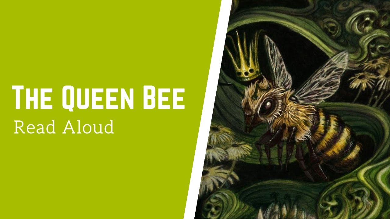 The Queen Bee || Read Aloud - YouTube