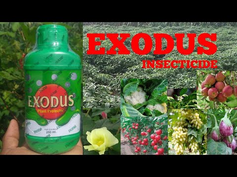 EXODUS INSECTICIDE (Plant Protector) || Pasura Crop Care Pvt. Ltd ...
