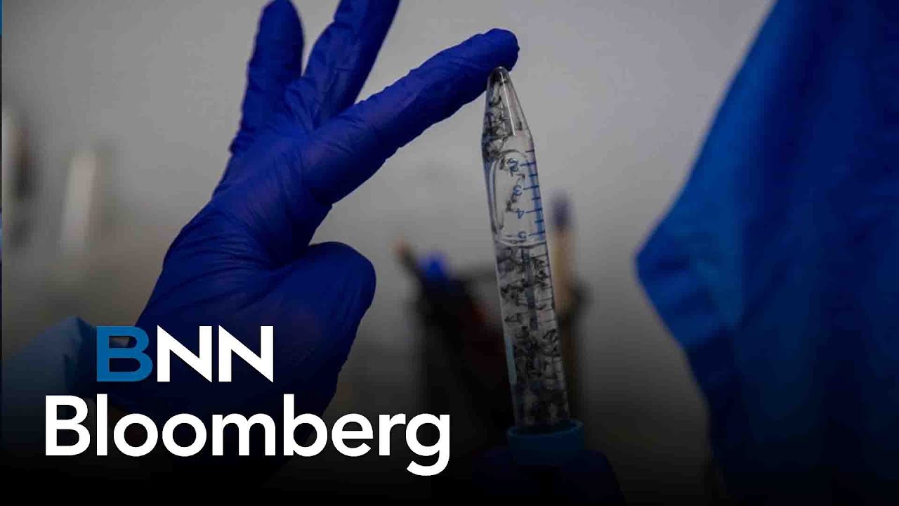 Hot picks in biopharma stocks - YouTube