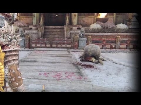 Memes e melhores momentos INVICTUS - FOR HONOR - YouTube