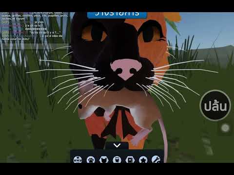 A bit of weird?role play on Roblox  warrior cats