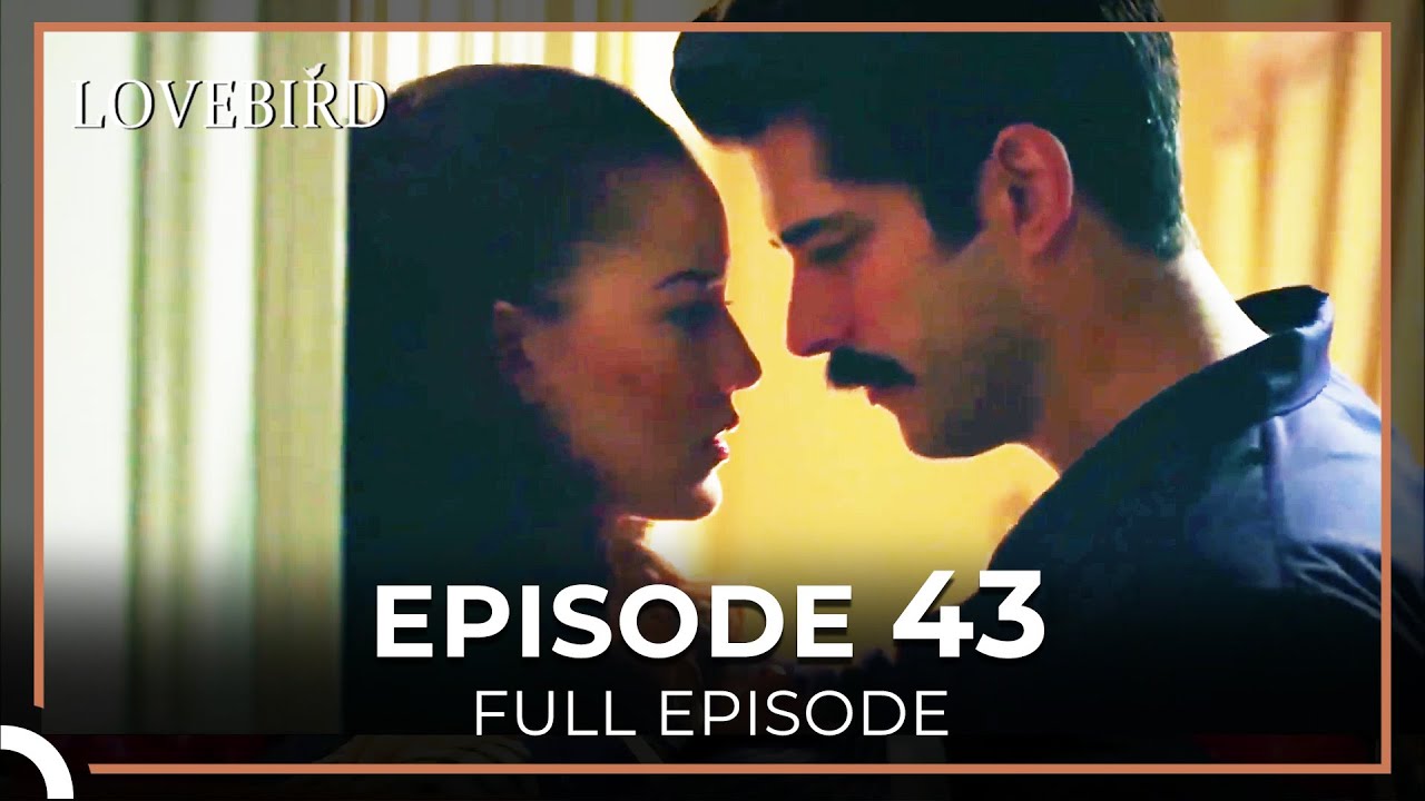 Lovebird Episode 43 - YouTube