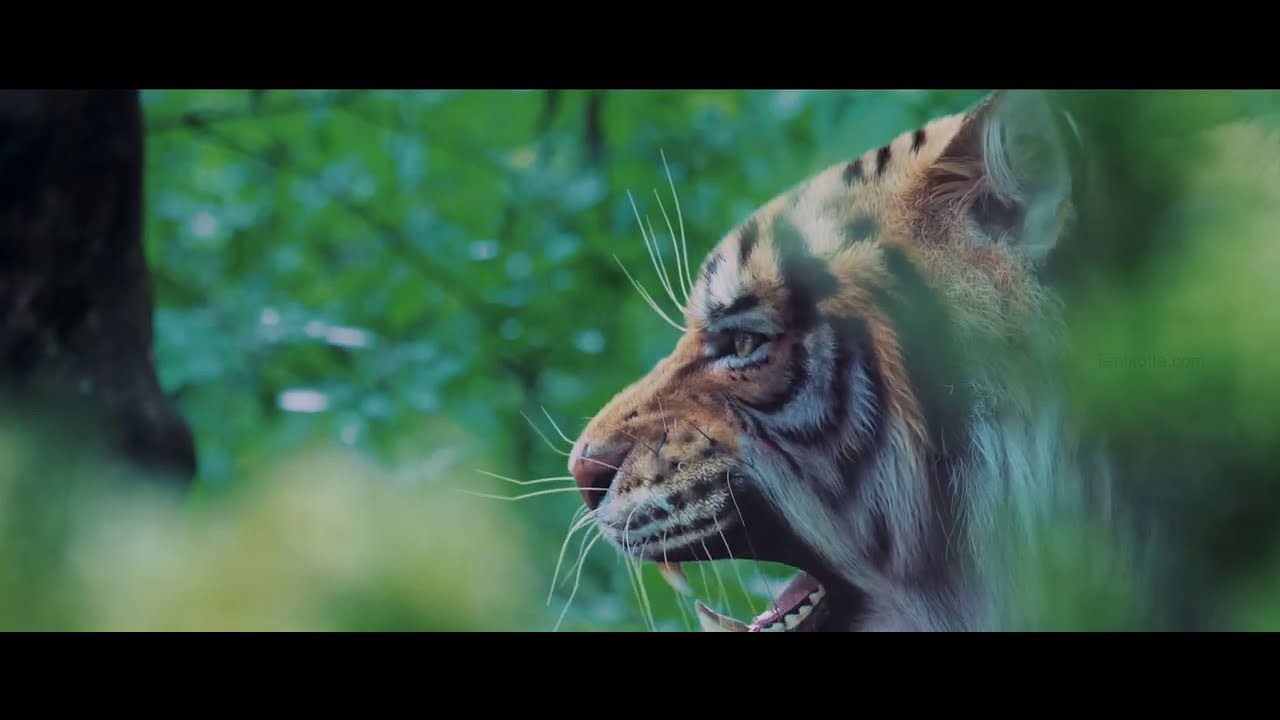 Mirugaa( 2021) horror scene - YouTube