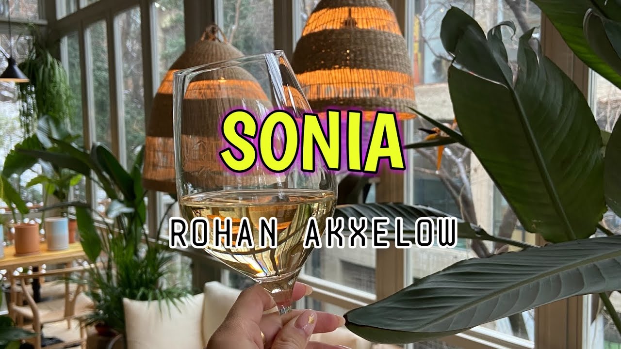 Lagu Party SONIA Remix Rohan Akxelow Full Bass Terbaru 2023 - YouTube