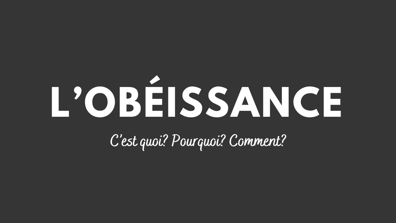 L’OBÉISSANCE // C’est quoi? Pourquoi? Comment? - YouTube