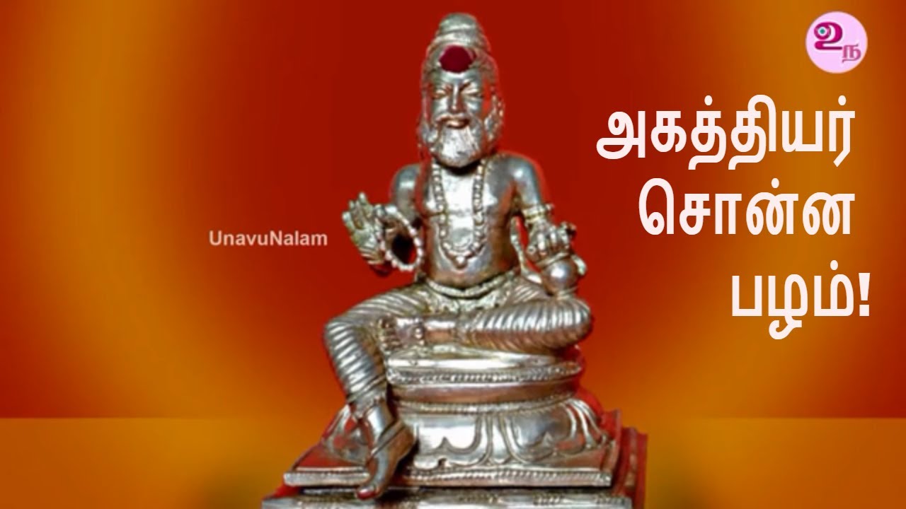 அகத்தியர் சொன்ன பழம்! | Vilam palam health benefits in Tamil - YouTube