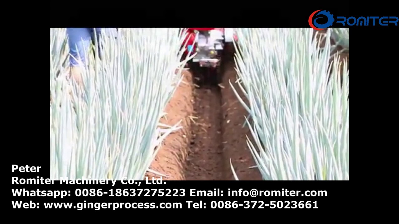 Automatic Ginger Planting Trencher Machine - YouTube