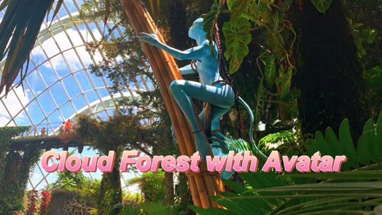 Cloud Forest Gardens by the Bay Singapore Walking Tour April 2023 - 4K ...