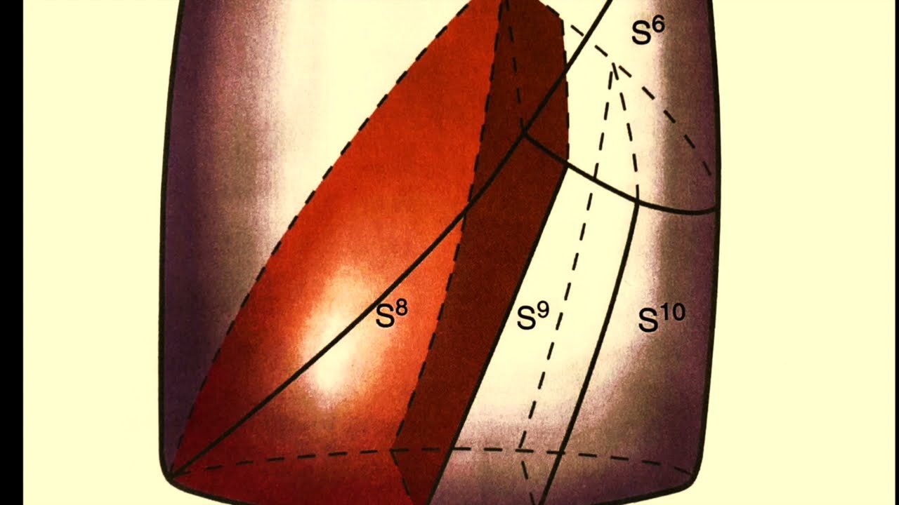 S8 Robotic LLL Anterior Basilar Segmentectomy - YouTube