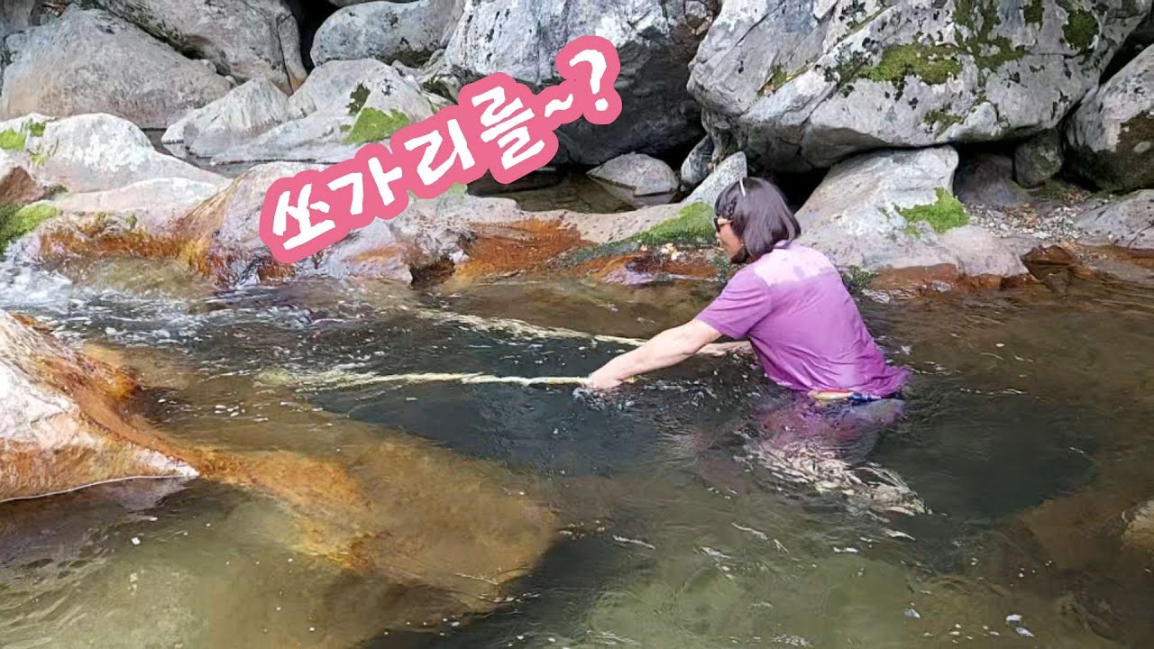 쏘가리를.! - a fine fish. - YouTube