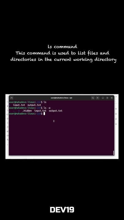 ls | 🐧Linux Commands #0 | #linux #programmer #coding #ubuntu #kali #cpp #terminal #developer ...