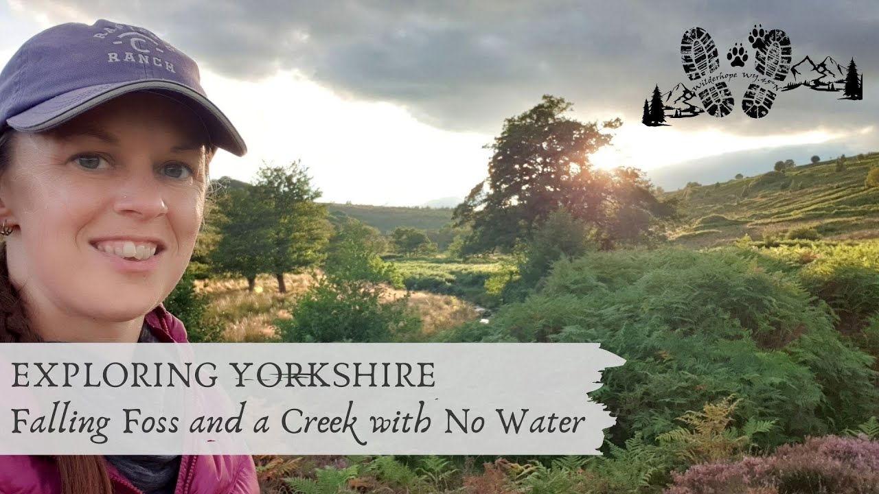 EXPLORING YORKSHIRE: Falling Foss Waterfall and Castle Eden Nature ...