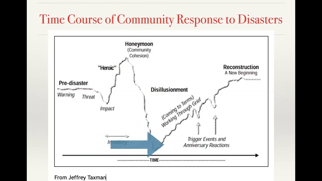 Remote Therapy Webinar: Presented by Gillian Isaacs Russell and Todd ...