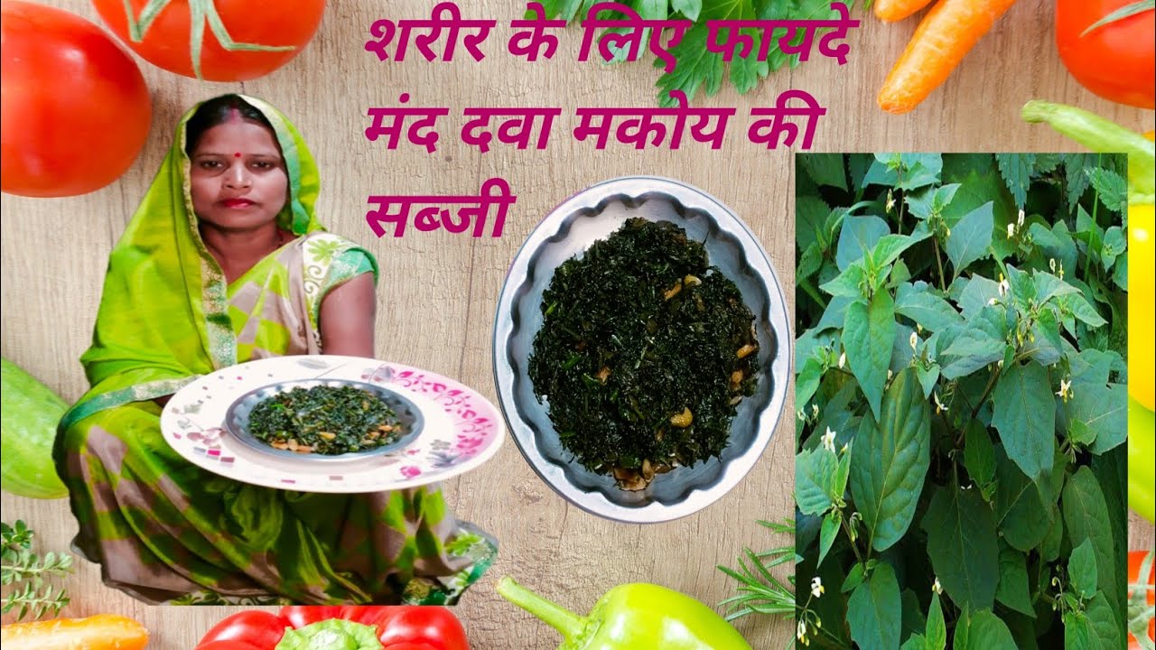 Makoy Ki Bhaji /मकोय की सब्जी #मकोय #Makoy #MedicinalPlant /Black ...