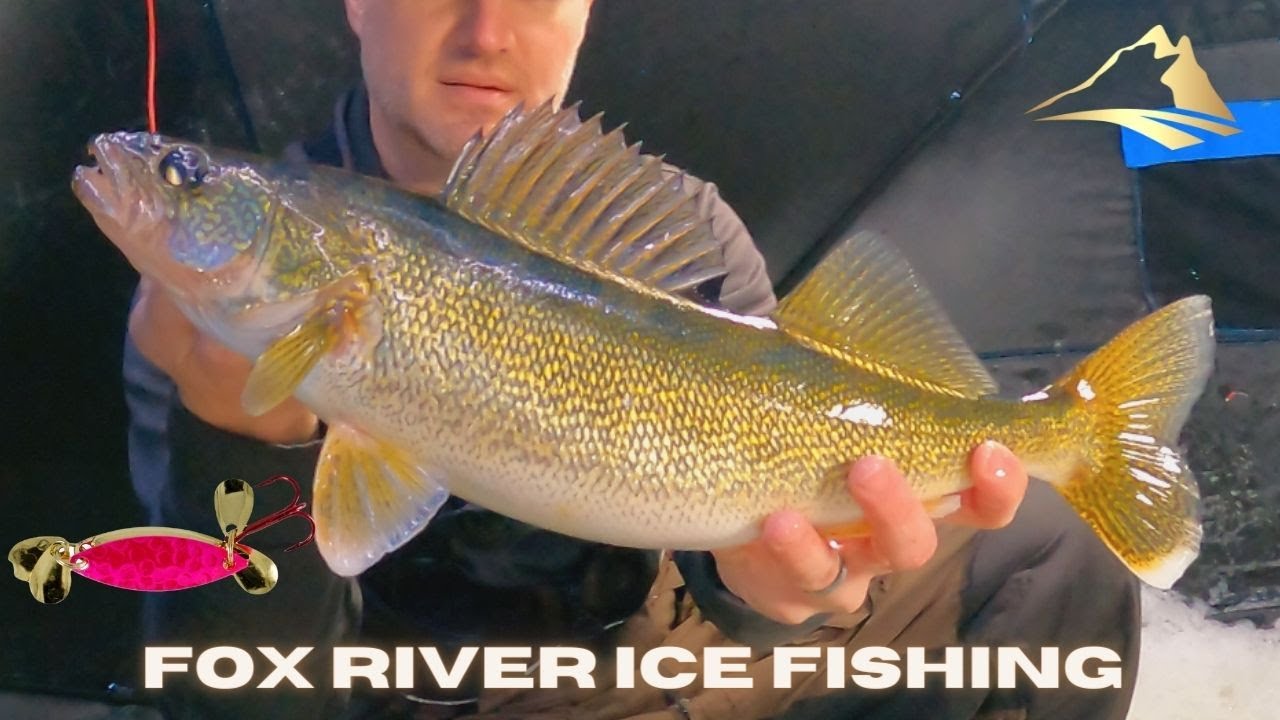 Fox River Ice Fishing - New Favorite Lure (The Big Shaker) - YouTube