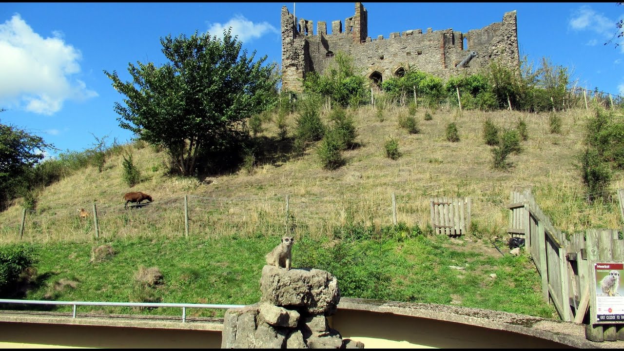 An enjoyable visit to DUDLEY ZOO & CASTLE 15/06/2023 - YouTube
