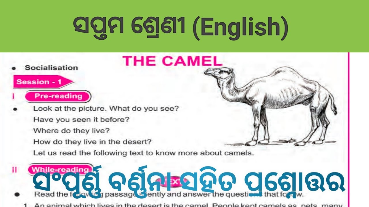 THE CAMEL || 7Th Class English Question with answers ||ସପ୍ତମ ଶ୍ରେଣୀ ...