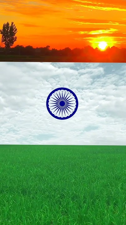 md ishtiyak 751#youtube #youtubeshorts #shortsvideo #terendi #viralreels - YouTube