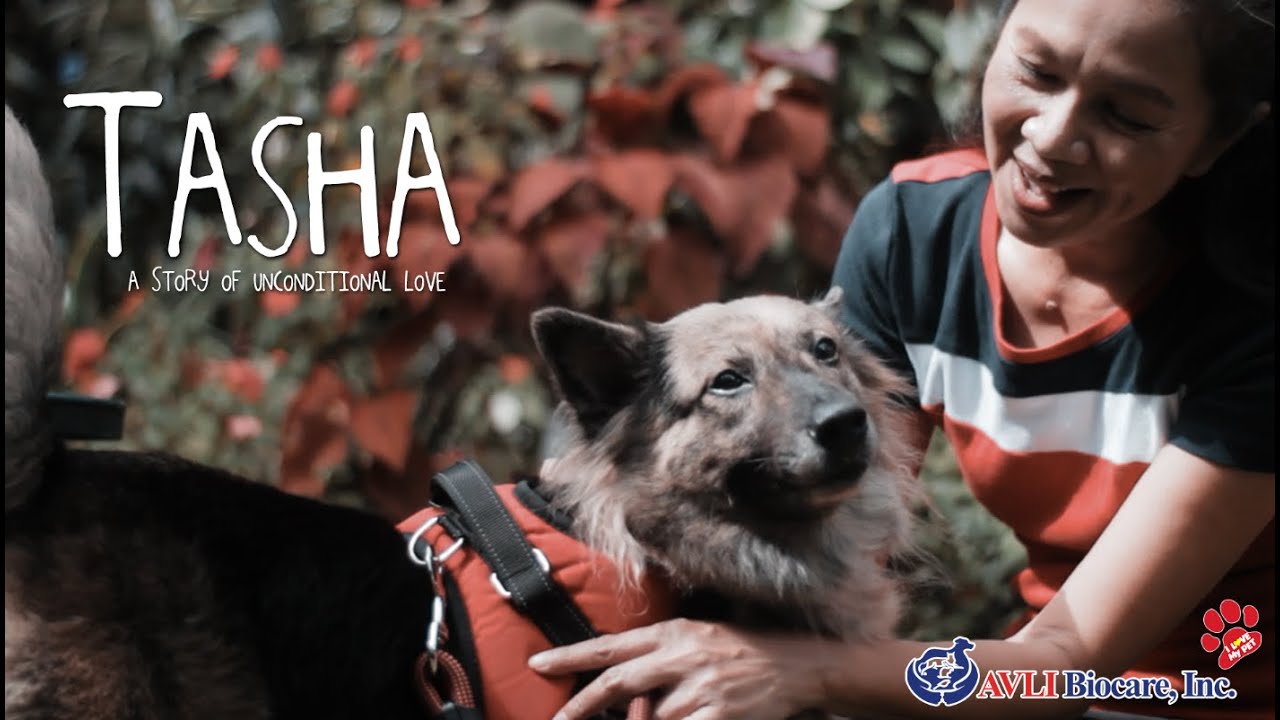 TASHA - A True Story of Unconditional Love - YouTube