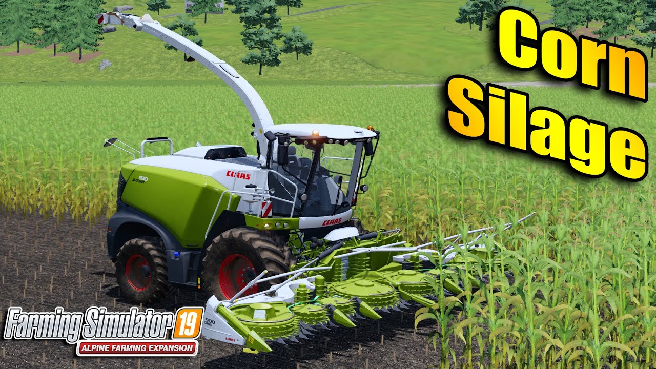 FS19 Timelapse | Corn Silage !! - YouTube