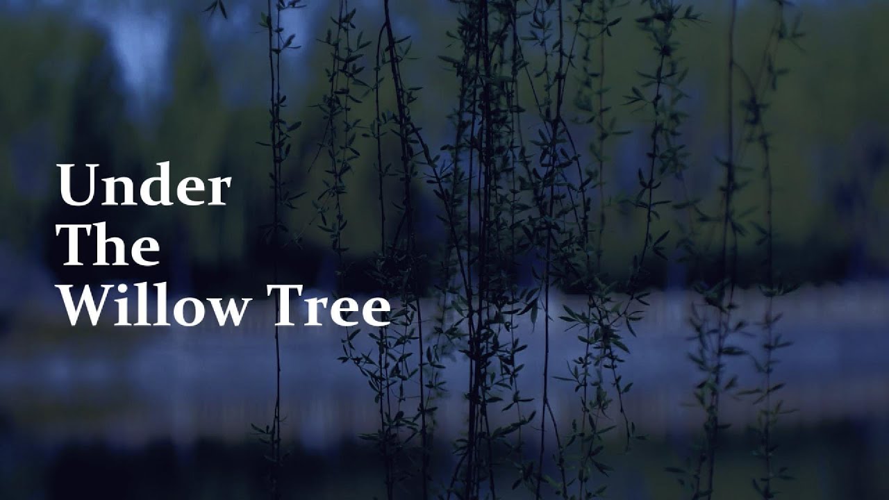 Under the Willow Tree - YouTube