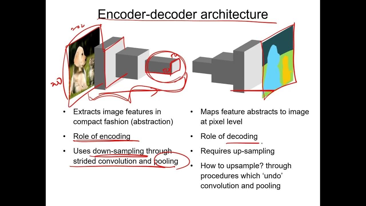 Lec22. Semantic Segmentation Intro, Transpose Convolution - YouTube