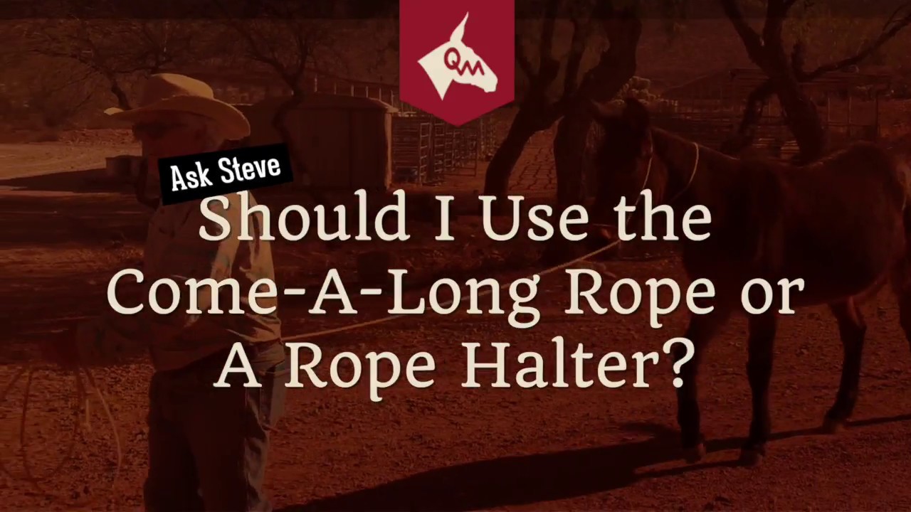 Mule Training 101 - When to Use the Rope Halter or the Come-A-Long Rope ...