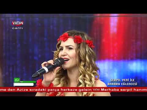 SERPİL YENİ VATAN TV NADİR SALTIK AHMET AYVERDİ